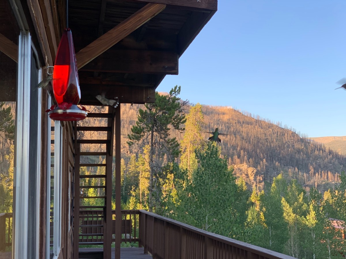 FOUR SPOTS LEFT: Retreat with Nancy Stohlman and Kathy Fish this August ...